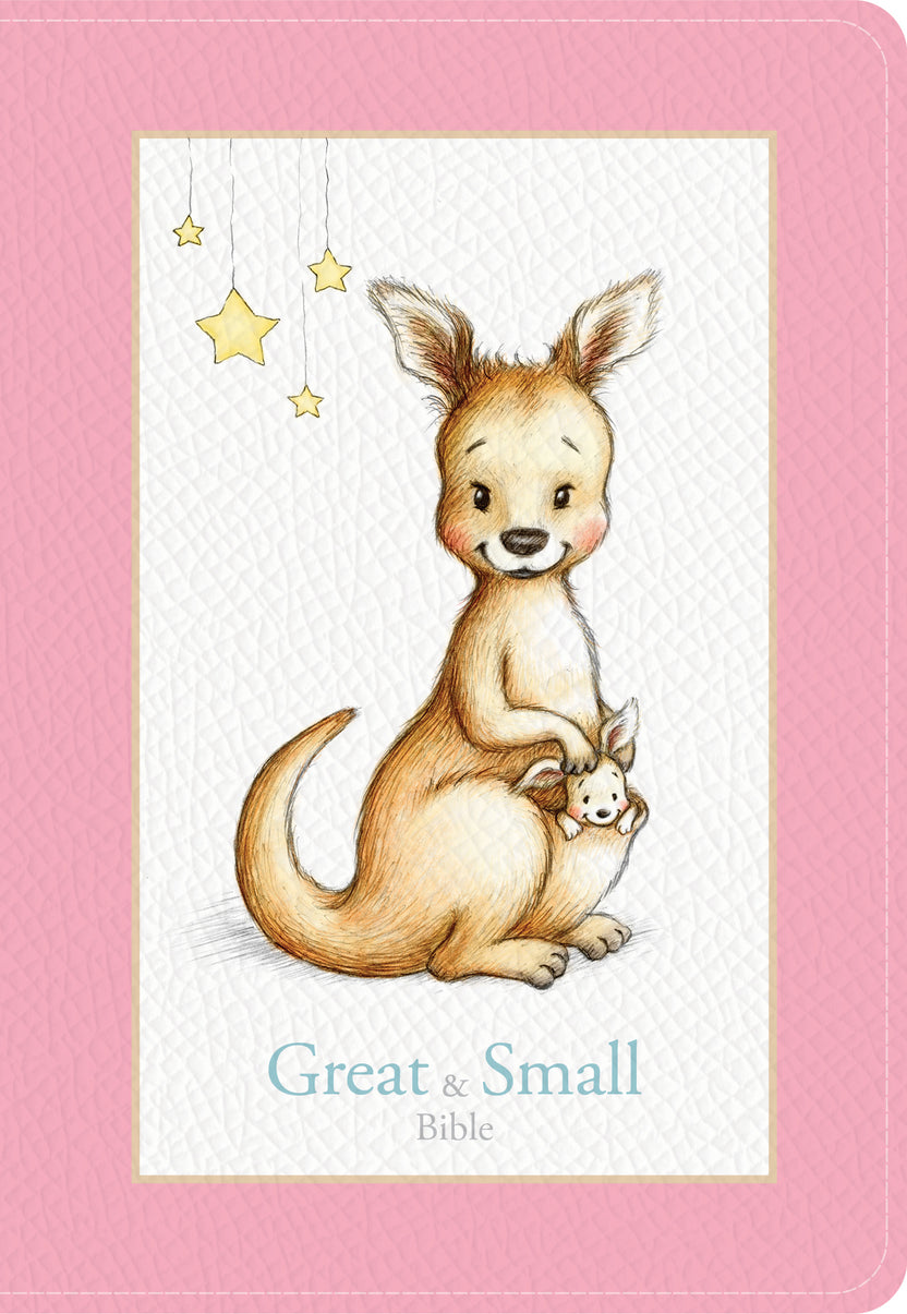 CSB Great and Small Bible Pink (Red Letter Edition) – Koorong